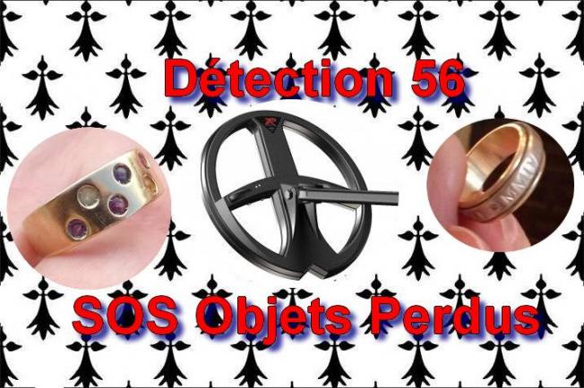DETECTION 56 SOS OBJETS PERDUS - Ferel
