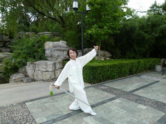 Taichi chuan, Wushu kung fu, Hong Chuan Shaolin Kung Fu et danses ...