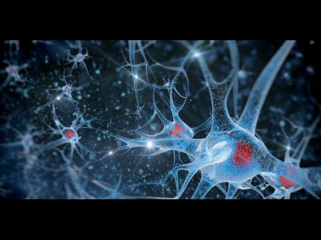 ASSOCIATION POUR LES PERSONNES SOUFFRANT DE LA NÉVRALGIE D'ARNOLD EN ...